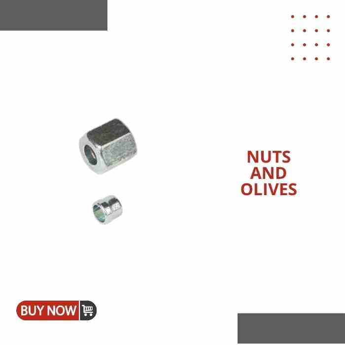 Durable Nuts and Olives Lubrication Fittings